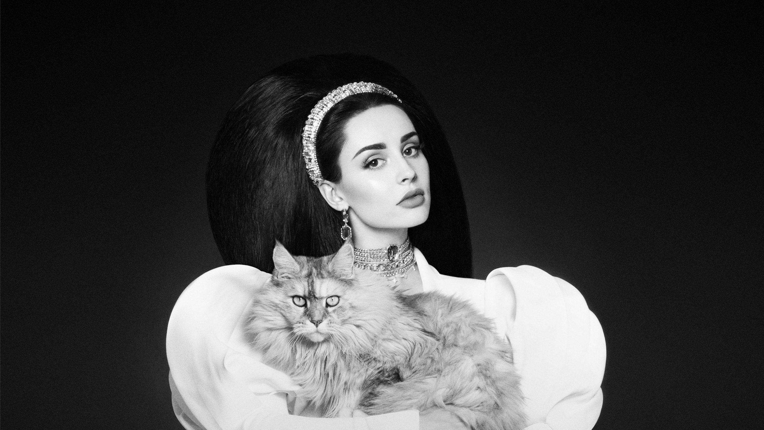 Découvertes : « Royalty », le nouveau single d’Ilira ! | L'Eurovision ...